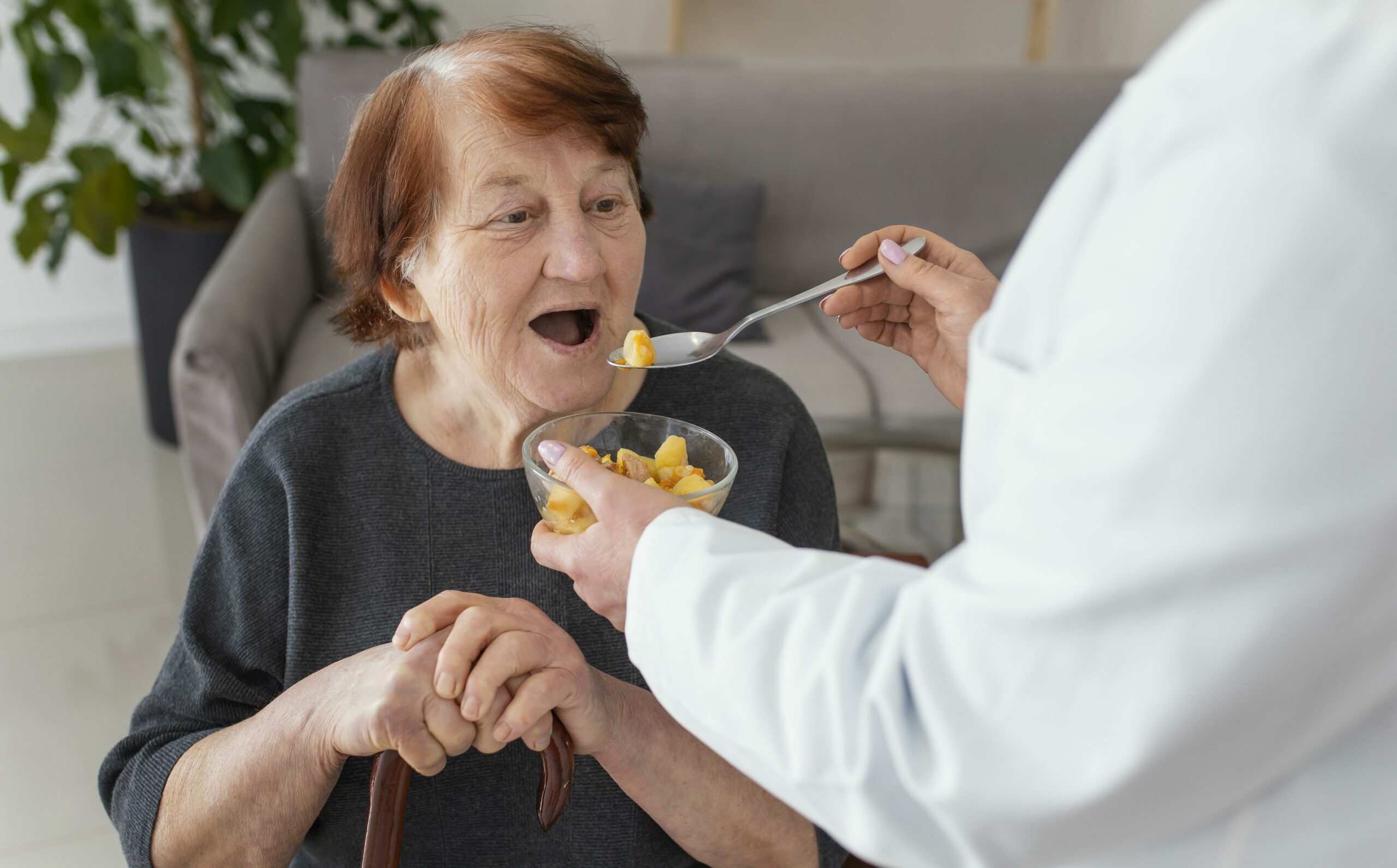 Alimentação De Idosos Cuidados E Dicas Para Comerem Melhor Cia